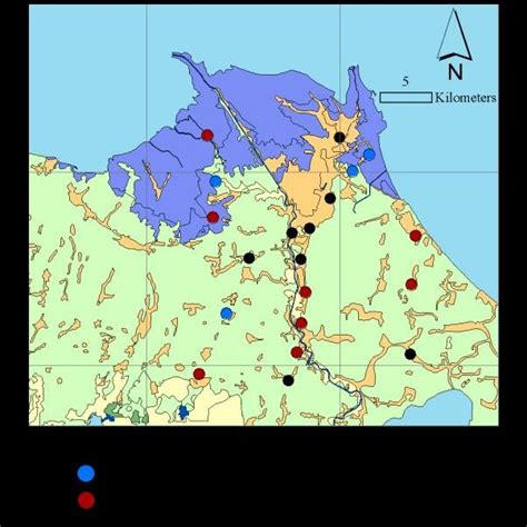 Cl Classification Distribution Download Scientific Diagram