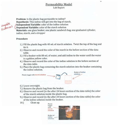Permeability Model Schemes And Mind Maps Chemical Experimentation Docsity