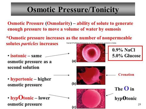 Anatomy And Physiology Final Exam Questions You Need To Know