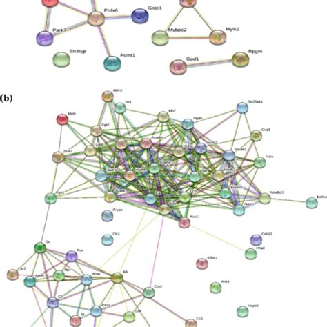 String Interaction Analysis Of The Differentially Expressed Genes A