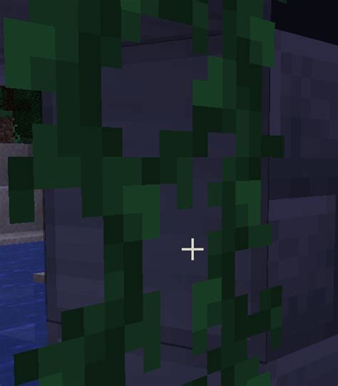 You Cant Break Vines On A Portal · Issue 174 · Iportalteam