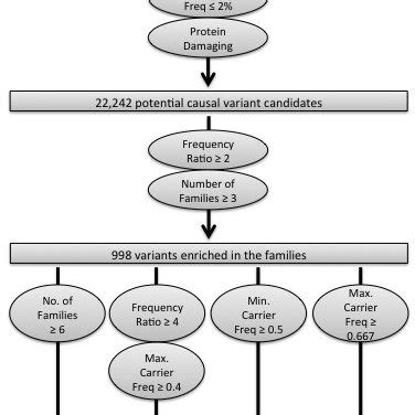 Schematic Of The Analysis Strategy Implemented To Identify The Most Download Scientific Diagram