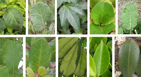 Biomimicry For Designers The Pattern Lens