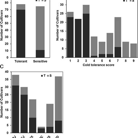 The Mapped Qtls For Rice Cold Tolerance At Seedling Stage Download Table