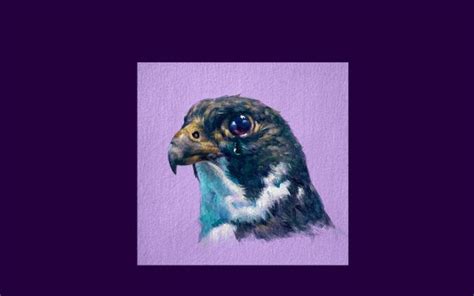 Tzum Recensie Robert Devriendt Het Intieme Interview Tzum