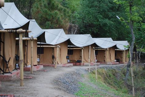Lets Camp Junga Shimla Himachal Pradesh Lodge Reviews Photos