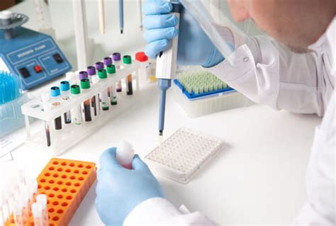 DDC Paternity Test Top 10 DNA Tests