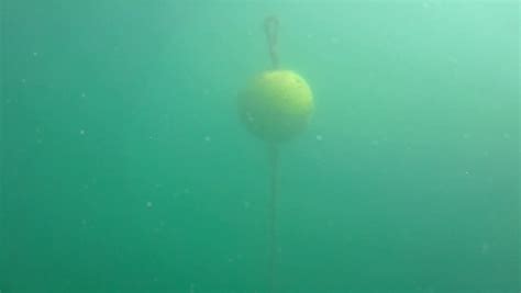 Buoys Leak Object Detection Dataset By University