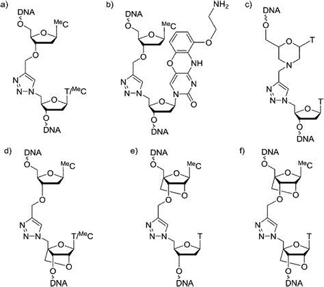 Locked Nucleic Acid Lna Enhances Binding Affinity Of Triazole Linked Dna Towards Rna