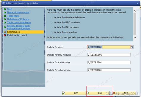 如何使用sap中的table Control 控件sap Table Control Csdn博客