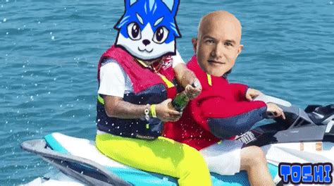 Toshi Gif Toshi Discover Share Gifs