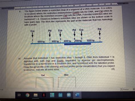solved 10 6 the figure below shows a restriction map of a
