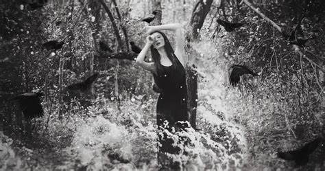 Le Zèbre Bleu Gerald Larocque