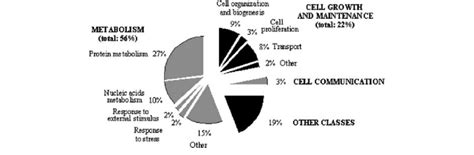Distribution Of 118 Ests Into Functional Classes According To The Gene