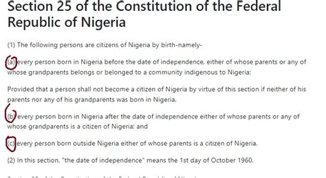 Who Is A Nigerian Understanding Our Fundamental Problem Politics