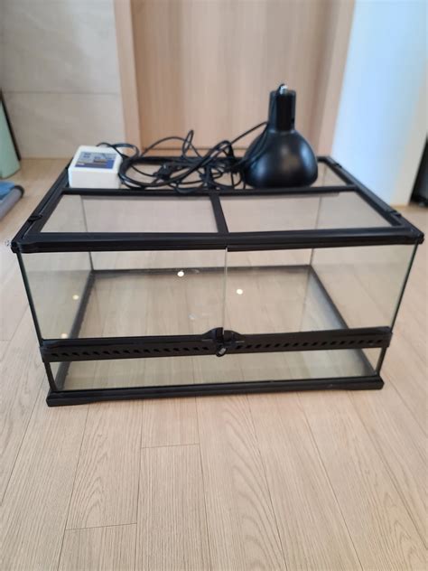 파충류 사육장 당근 중고거래