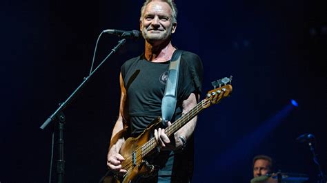 download legendary musician sting wearing a radiant smile wallpaper