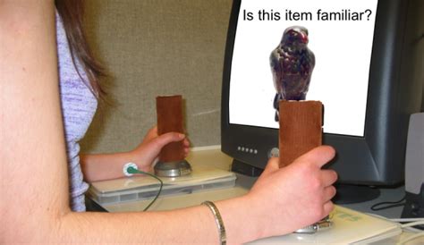 Research Ucsc Cognitive Modeling Laboratory