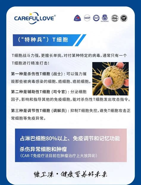 免疫细胞种类与功能介绍