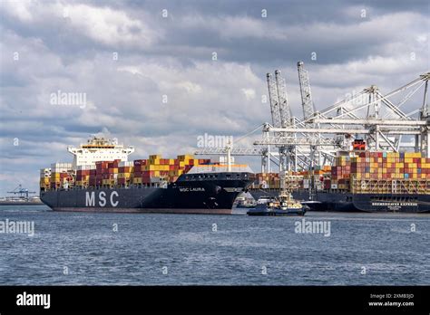Ect Delta Container Terminal In Europahaven Msc Laura Container
