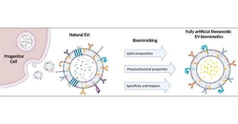 Biomimicking Extracellular Vesicles With Fully Artificial Ones A Rational Design Of Ev