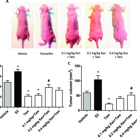 Structure Of Xanthorrhizol Molecular Weight 2183 Download