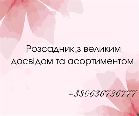 Світ без кордонів 2 3 відпустки Камбоджа яку ми побачили дуже неоднозначна Це два