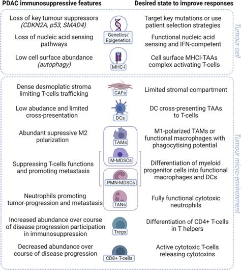 Modulation Of Type I Interferon Responses To Influence Tumor Immune Cross Talk In Pdac Pmc