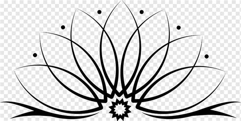 연꽃 기호 아이콘 검정 흰색 평면 동적 대칭 둥근 모양 개요 Png Pngwing
