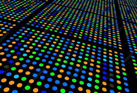 Dna Microarray Stock Image C021 0983 Science Photo Library