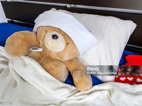 온도계가있는 침대에서 아픈 테디 베어 0명에 대한 스톡 사진 및 기타 이미지 0명 가정 생활 감기와 독감 Istock