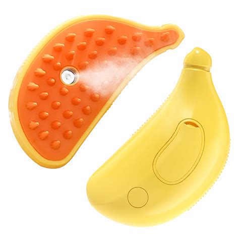 Ibaodan 4 In 1 Multifunctional Pet Steam Brush Self Cleaning Massage