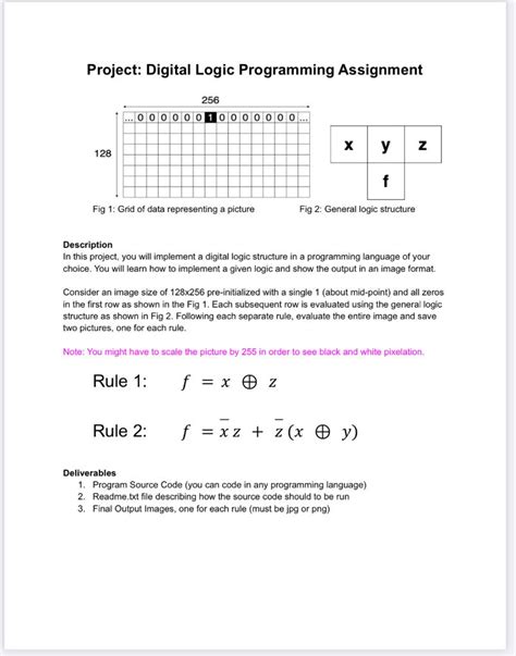 Project Digital Logic Programming Assignment