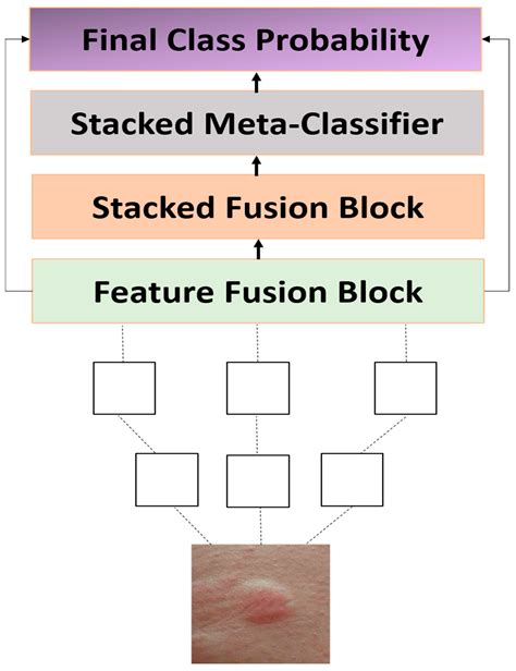 Deepbitenet A Lightweight Ensemble Framework For Multiclass Bug Bite Classification Using Image