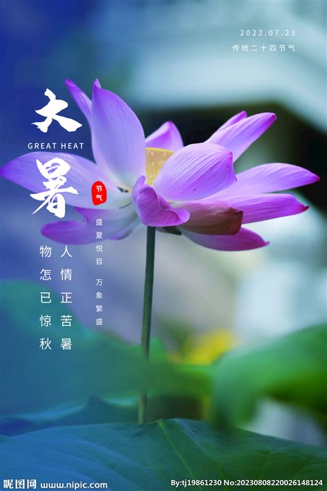 二十四节气处暑创意海报设计图 海报设计 广告设计 设计图库 昵图网
