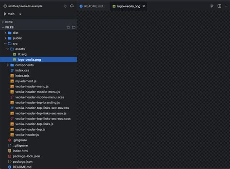 Assets Not Loading Issue Stackblitz Webcontainer Core GitHub