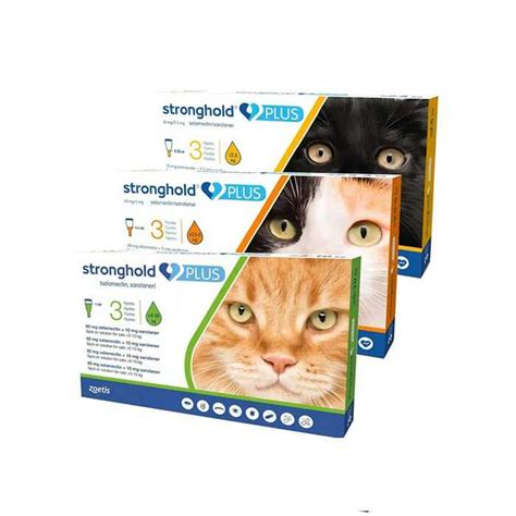Stronghold Plus Katze Kaufen Ohne Rezept Katzen Und Hunde
