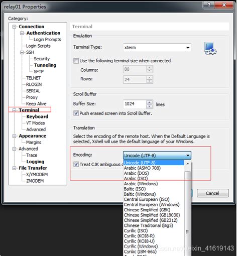 Xshell连接服务器出现（to Escape To Local Shell Press Ctrlalt ）问题、xshell终端中文乱码完全解决方法reynvip