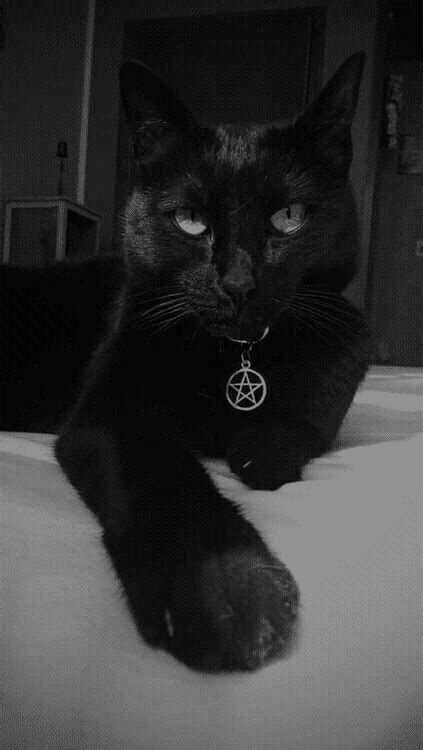 Steam Community Metal Hellsinger