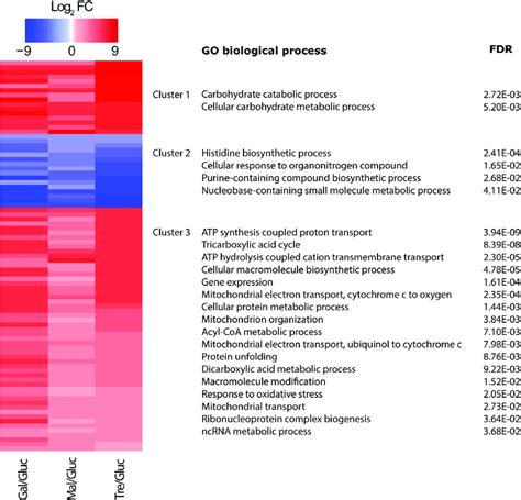 Heatmap Showing The Log Fold Changes In Relative Abundance Between Download Scientific