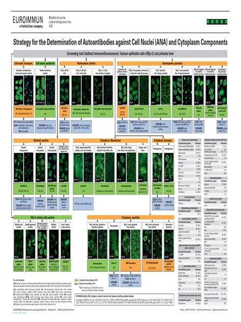Ana Detection Strategy Pdf Cell Biology Epidemiology