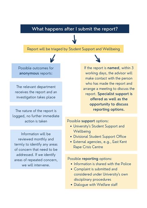 What Happens After I Submit The Report Student Flowchart Report