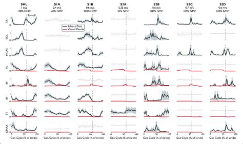 Muscle Activation Patterns During Walking From Transtibial 42 Off