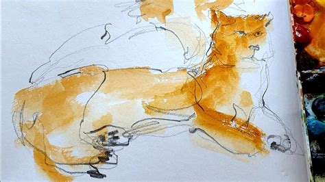 느낌있는 사자 수채화 터치법 Youtube