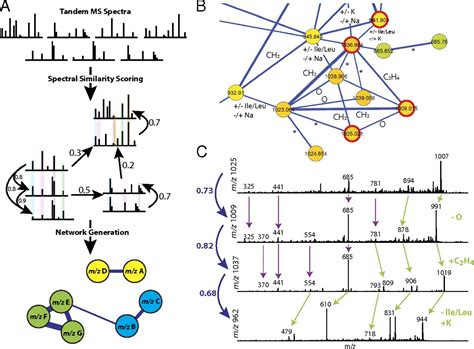Mass Spectral Molecular Networking Of Living Microbial Colonies Pnas