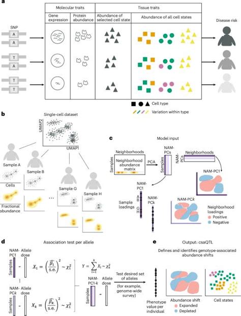 Ammar Sabir Cheema Phd On Linkedin Identifying Genetic Variants That Influence The Abundance