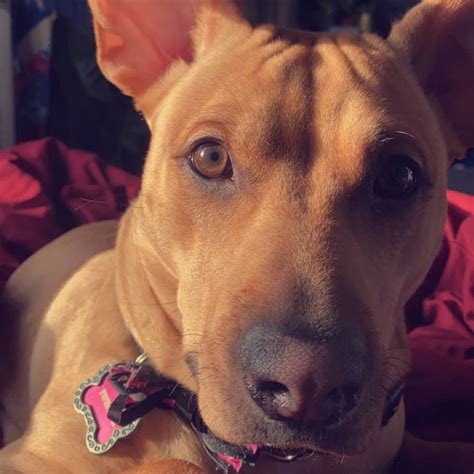 Oliver Munro Youtube