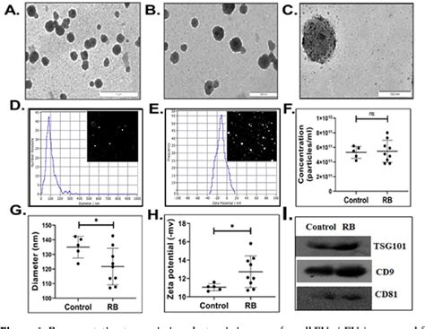 Figure 1 From Comprehensive Analysis Of Serum Small Extracellular
