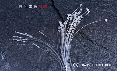 扎带 浙江亚泰塑料有限公司