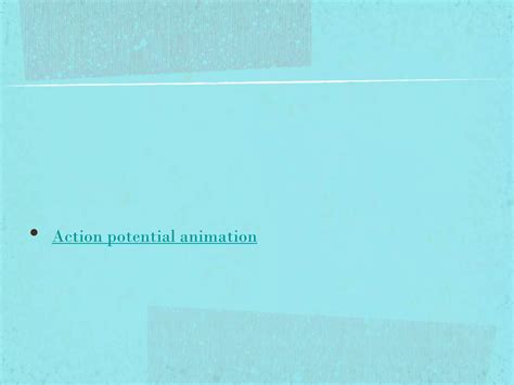 Physiology Of A Neuron 1 Pptx